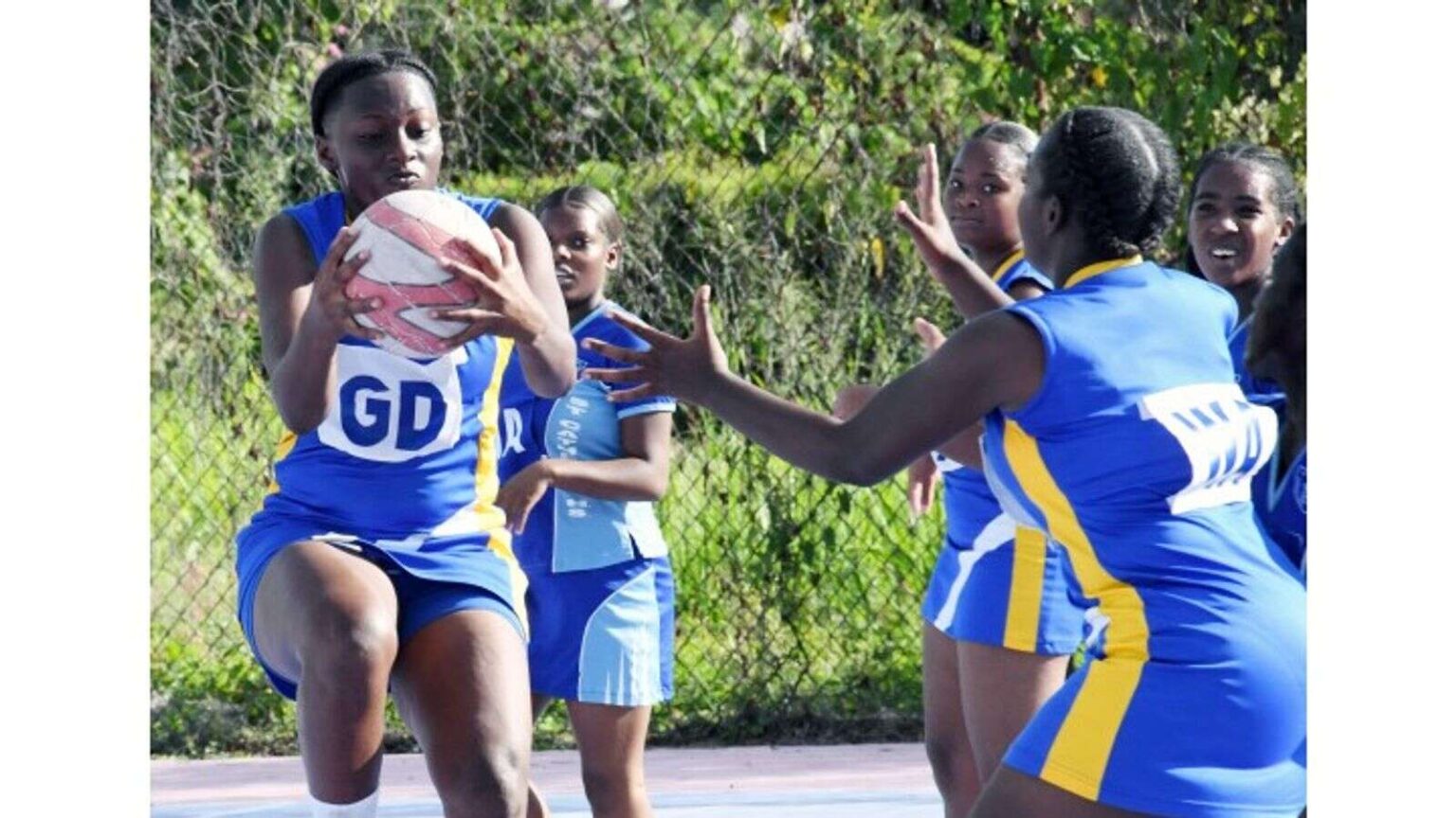 Netball - All Sports Jamaica